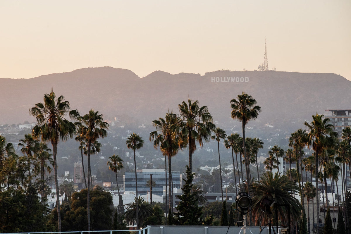 Mountain Valley Heads to Hollywood for the Concern Foundation Block Pa