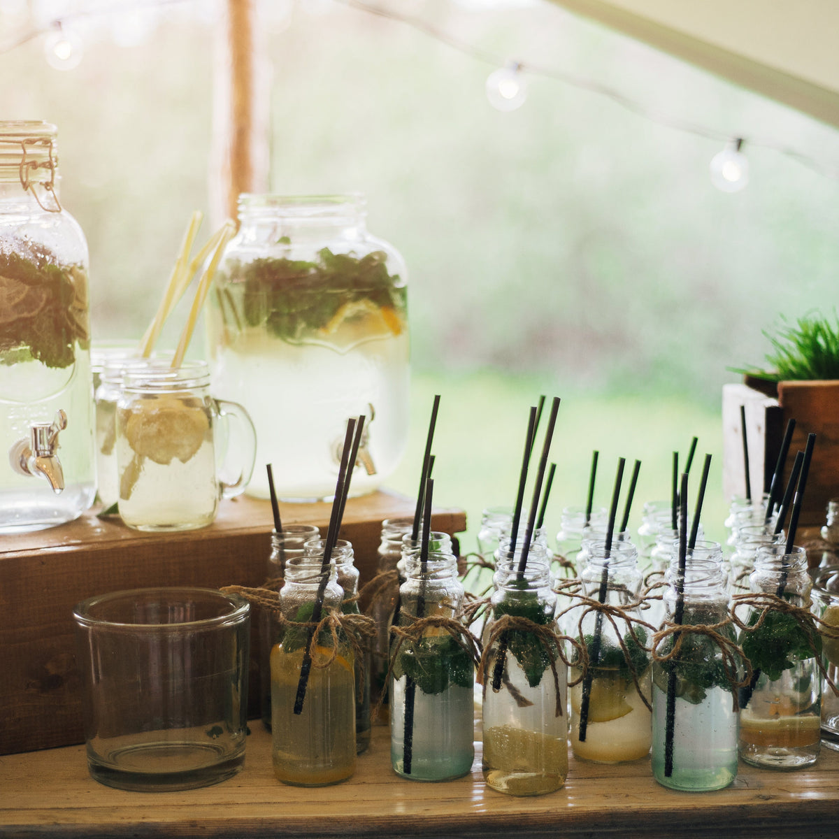 Sparkling Water Bars that Truly Sparkle – Mountain Valley Spring Water